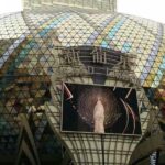 Private Day Tour to Macau from Guangzhou by Bullet Train - Introduction: What Makes This Macau Day Tour Stand Out?