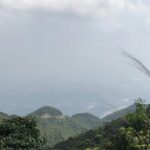 Private Day Tour to Mount Luofu from Gungzhou - The Itinerary in Detail