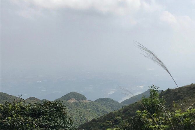 Private Day Tour to Mount Luofu from Gungzhou - The Itinerary in Detail