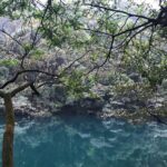 Private Day tour to Mt Dinghu and Seven Star Crags from Guangzhou - Authentic Experiences and Traveler Insights