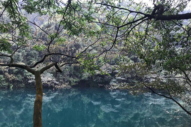 Private Day tour to Mt Dinghu and Seven Star Crags from Guangzhou - Authentic Experiences and Traveler Insights