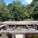 Private Day Tour to Pidurangala, Ritigala and Elephant Safari - The Itinerary in Detail