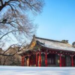 Private Day Tour to Shenyang Imperial Palace, Zhaoling Mausoleum and Fuling Tomb - Why This Tour Offers Good Value