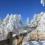 Private Day Tour to Xiling Snow Mountain - Real Traveler Experience