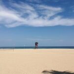 Private Day Tour to Yangjiang Beach from Guangzhou - What Travelers Say and Why It Matters