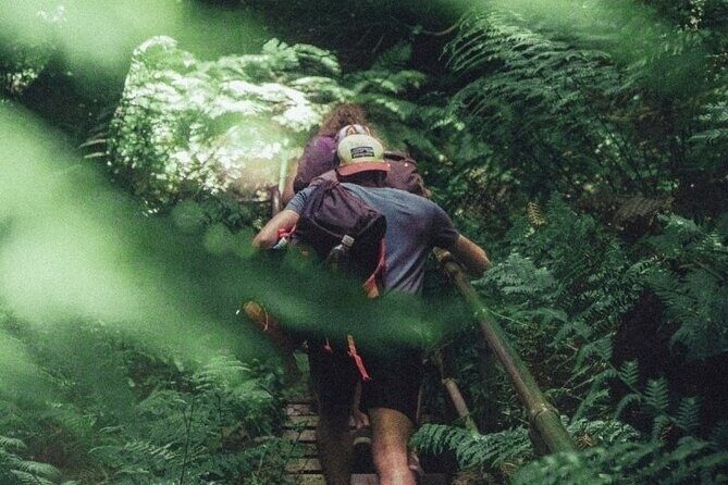 Private Day Trip at the Blue Mountains - Why This Tour Offers Good Value