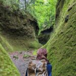 Private Day Trip of Lake Shikotsu and Moss Canyon - Who Will Enjoy This Tour?