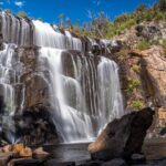Private Day Trip to Nature's Wonderland Grampians Grandeur - The Value of a Well-Rounded Day in the Grampians