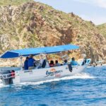 Private Day Trip to San José & Cabo San Lucas - Who Should Consider This Tour?