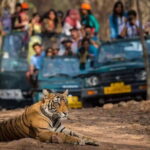 Private Delhi Agra Jaipur Multi Day Tour - Key Points