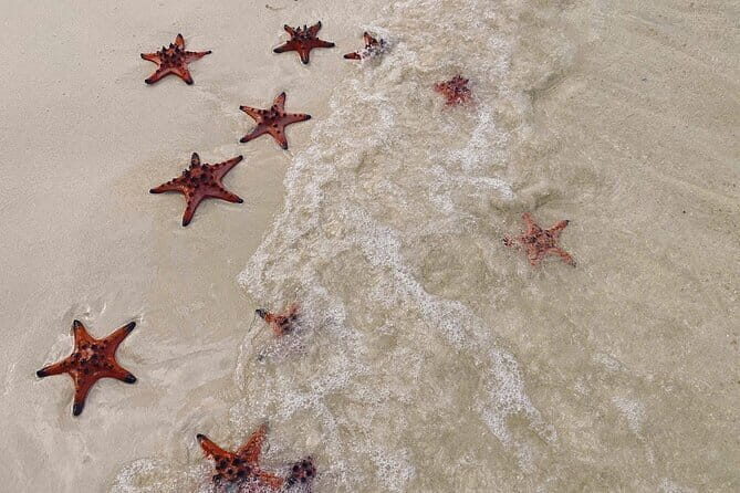 PRIVATE Discover Phu Quoc Local life and Starfish Beach & Lunch - The Hidden Gem: Rach Vem Floating Village