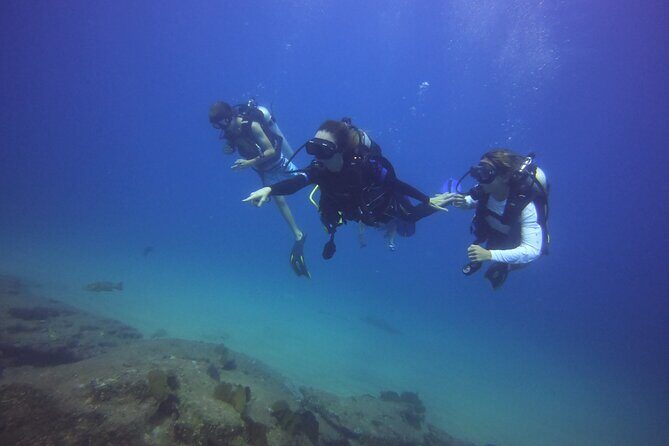 Private Dive Boat for Certified Divers - Cabo San Lucas - What’s Not Included