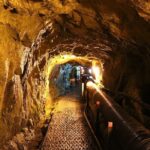 Private DMZ Peace Tour: 3rd Invasion Tunnel and Suspension Bridge - Comfort and Practicalities