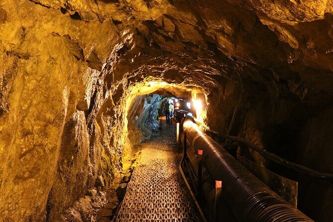 Private DMZ Peace Tour: 3rd Invasion Tunnel and Suspension Bridge - Comfort and Practicalities