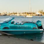 Private Dolce Vita Skippered Guided Tour - Analyzing the value