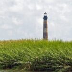 Private Dolphin, Lighthouse and Shelling Adventure (Folly Beach) - Key Points