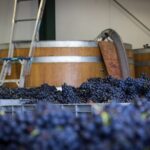 Private Driving Wine Tour (full day) in the Marlborough Region - The Itinerary: What Makes Each Stop Special