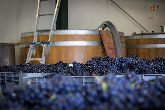 Private Driving Wine Tour (full day) in the Marlborough Region - The Itinerary: What Makes Each Stop Special