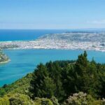 Private Dunedin & Otago Peninsula Day Tour Up to 4 - Authentic Perspectives from Past Travelers