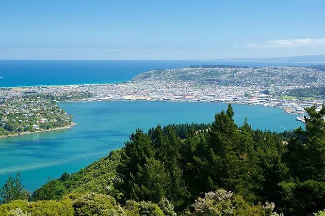 Private Dunedin & Otago Peninsula Day Tour Up to 4 - Authentic Perspectives from Past Travelers