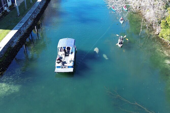 Private Eco Tour in Kings Bay Crystal River Florida - The 1.5-Hour Boat Ride