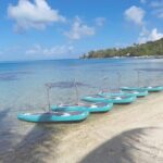 Private Electric Paddle Cruise in Bora Bora - What Do the Reviews Tell Us?