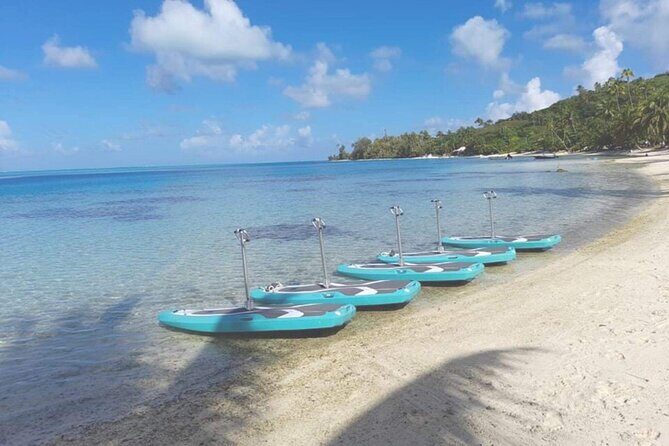 Private Electric Paddle Cruise in Bora Bora - What Do the Reviews Tell Us?