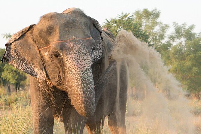 Private Elephant Sanctuary - The Lokation & Setting