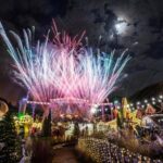 Private Everland Theme Park tour - Who Should Consider This Tour?