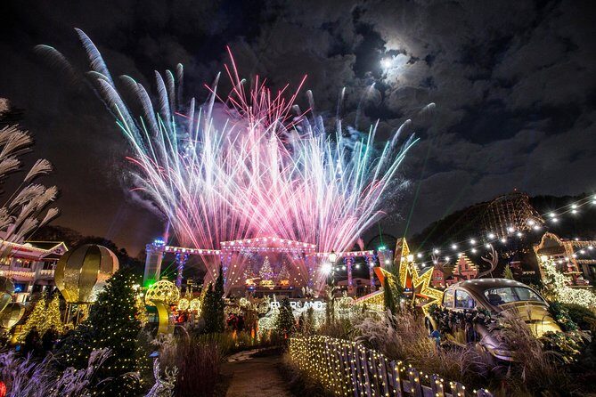 Private Everland Theme Park tour - Who Should Consider This Tour?