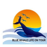 Private Experience with Fishing, Barbeque, Sashimi and Snorkeling - Key Points