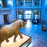 Private Family walking tour in Washington - Breaking Down the Itinerary