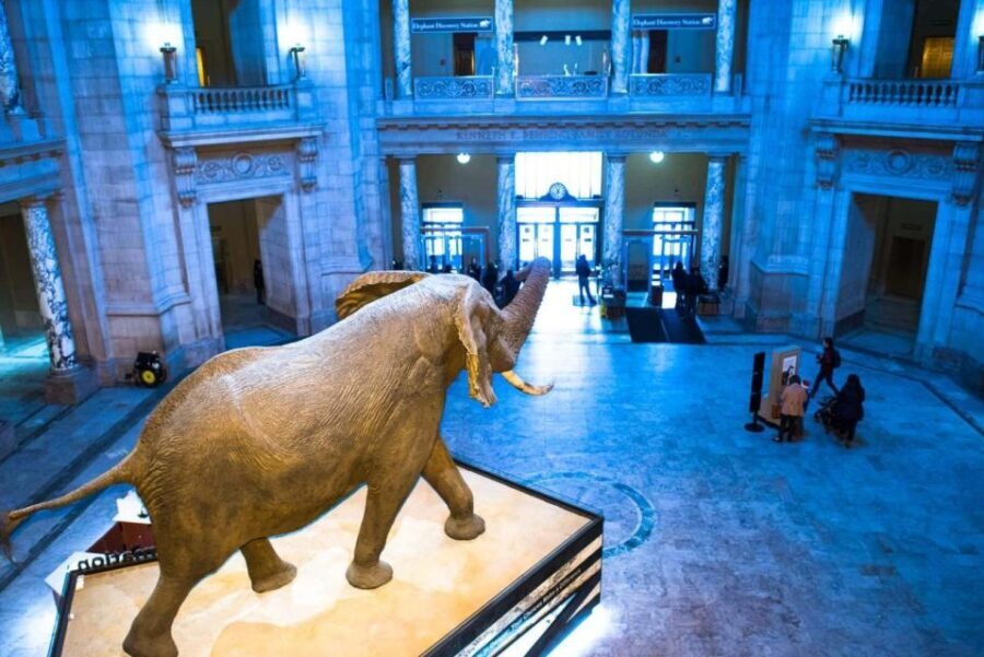 Private Family walking tour in Washington - Breaking Down the Itinerary