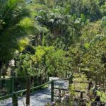 Private Fiji Tour - Why We Think This Tour Works
