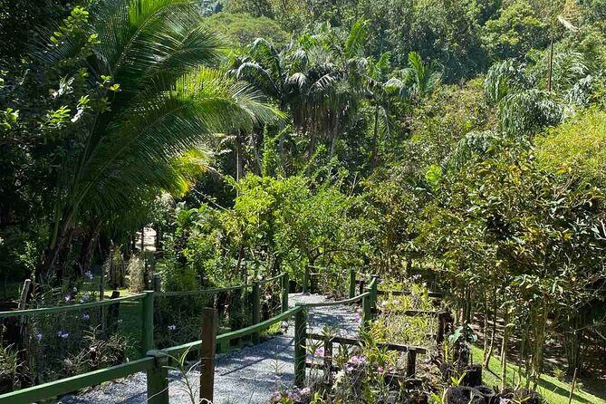 Private Fiji Tour - Why We Think This Tour Works