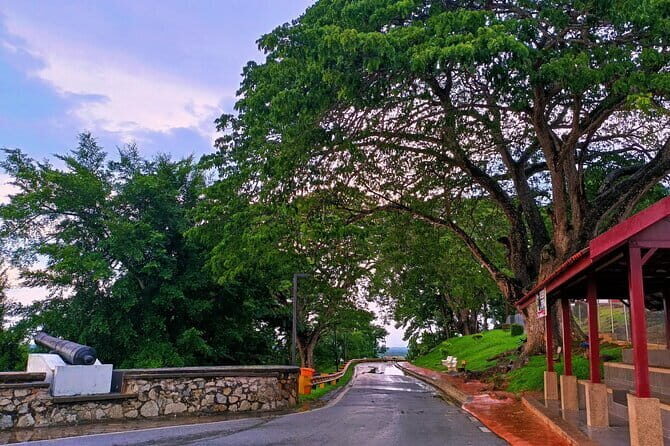 Private Fireflies Tour with Blue Tears and Seafood Dinner - A Step-by-Step Look at the Itinerary