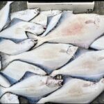 Private Fishing Adventure in Icy Strait Hoonah Alaska - FAQ