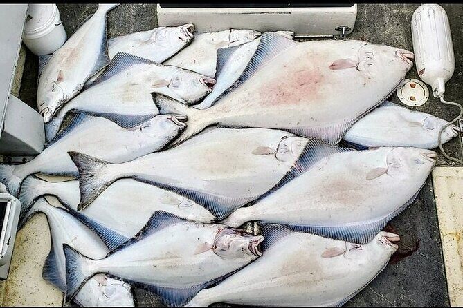 Private Fishing Adventure in Icy Strait Hoonah Alaska - FAQ