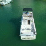 Private fishing charter 31 feet for maximun 6 people - Why This Tour Might Be Ideal for You