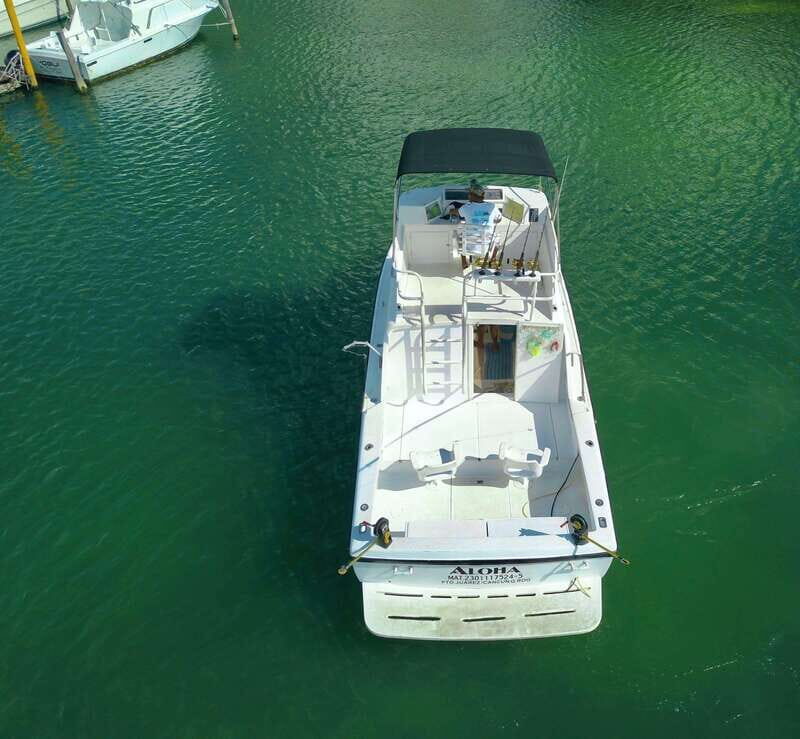 Private fishing charter 31 feet for maximun 6 people - Why This Tour Might Be Ideal for You