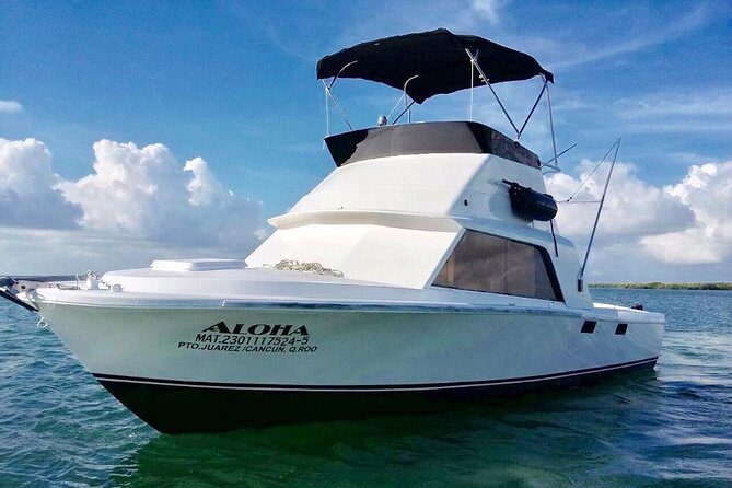 Private fishing charter Bertram 31ft 6 pax max if you don't fish you don't pay - In Summary: Is This Tour Worth It?