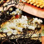 Private Flexible Beijing City In-Depth Walking Tour w/ Your Fancy - What’s Included and What’s Not?