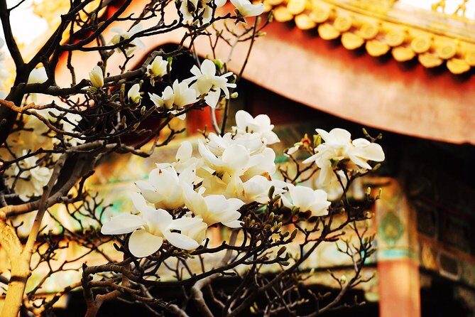 Private Flexible Beijing City In-Depth Walking Tour w/ Your Fancy - What’s Included and What’s Not?