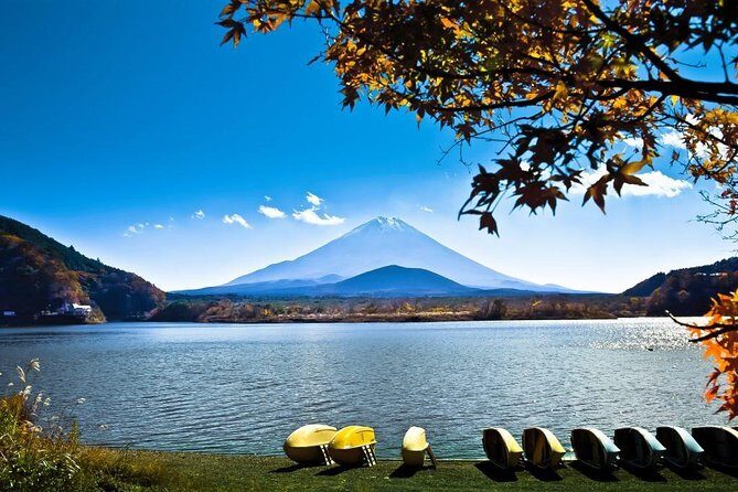 Private Fuji Hakone Tour Charter with English Speaking Driver - Who Would Love This Tour?