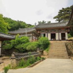 Private Full Day Cultural Charms and Scenic Views Tour in Daegu - Why This Tour Fits Different Travelers
