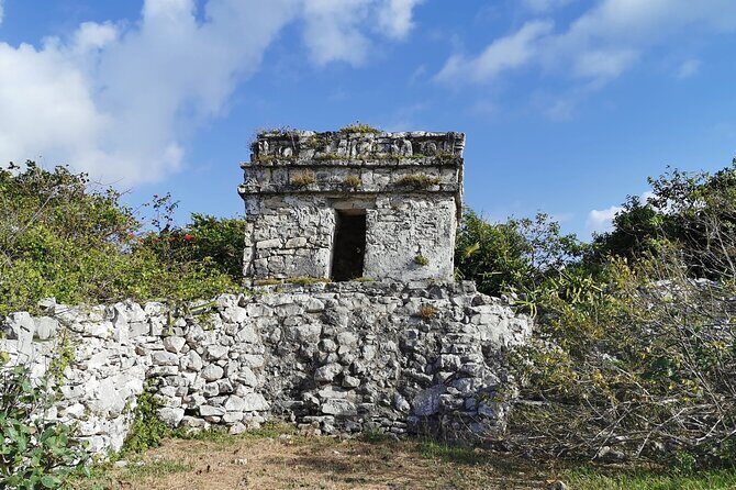 Private Full-Day Guided Tulum Coba and Cenote Tour with Lunch - The Heart of the Journey: Coba and Its Rainforests