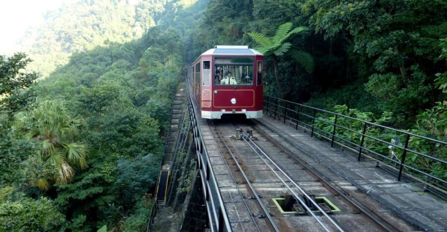 Private Full-Day Hong Kong Island Top Attraction Tour - The Value of a Guided Private Tour