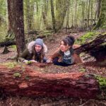 Private Full Day Lord of the Rings Mavora Lakes Adventure! - The Itinerary: A Step-by-Step Journey into Middle Earth