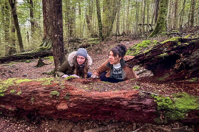 Private Full Day Lord of the Rings Mavora Lakes Adventure! - The Itinerary: A Step-by-Step Journey into Middle Earth
