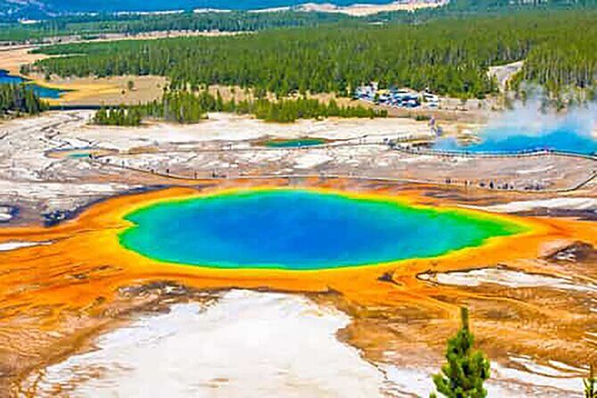 Private Full Day Luxury Tour at Yellowstone Park - Why Choose This Tour?